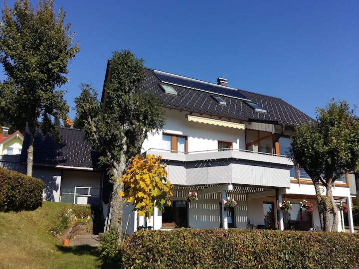 Appartement Dans Le Pittoresque Kniebis - Freudenstadt