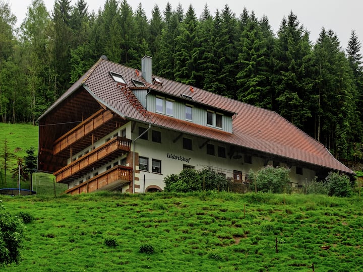 Appartement Avec Divertissement, Mühlenbach - Black Forest