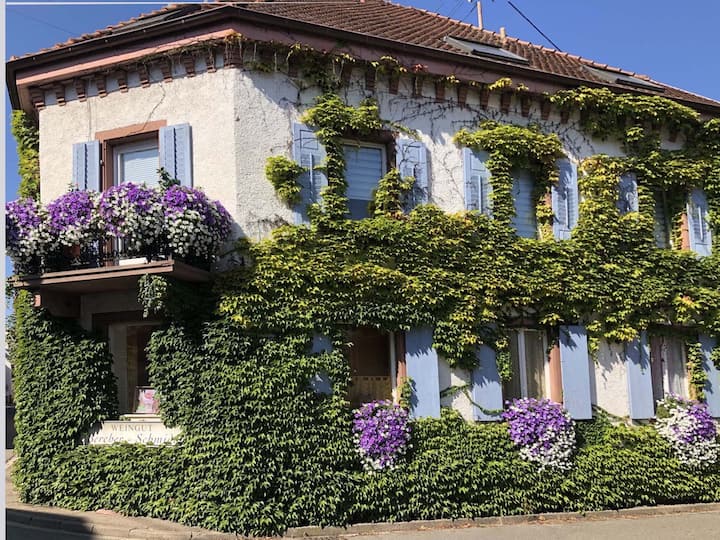 Appartement De Vacances Monet à Oberrotweil - Vogtsburg