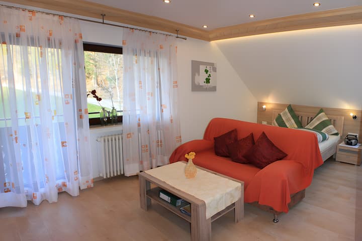 Ferienwohnung Schlössle, 22 Qm - Elzach