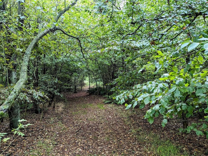 Retraite Charmante A Ringkobing - Ringkøbing