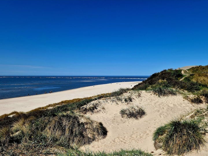 4 Etoiles Maison De Vacances A Blåvand - Blåvand