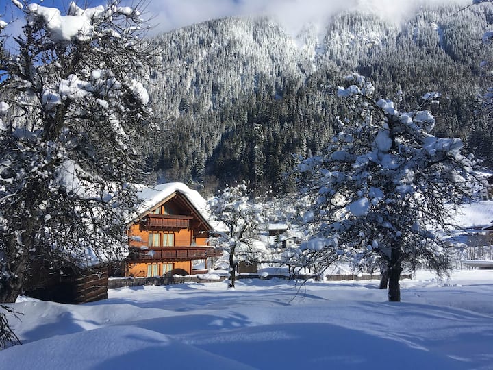 Apartment Edelweiss Ii - Gaschurn