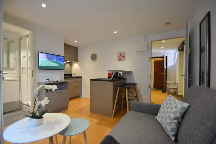 Studio Paquier Annecy Hyper Centre Vieille Ville - Annecy