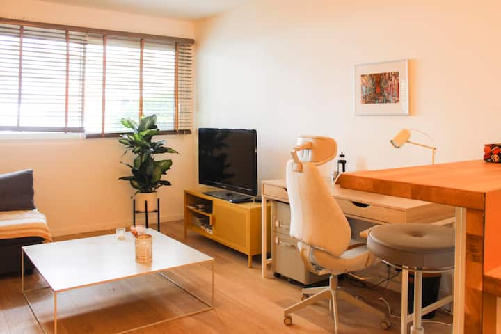 Appartement Lumineux Aux Portes De Paris - Montreuil