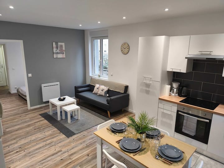 Havre De Charme En Centre-ville - Parking Privé - Charleville-Mézières