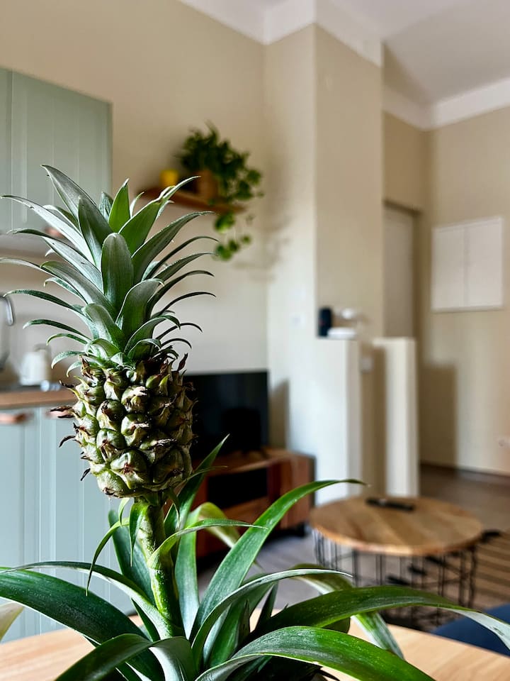 Tropical Cocoon à Monza - L'évasion Cosy - Monza