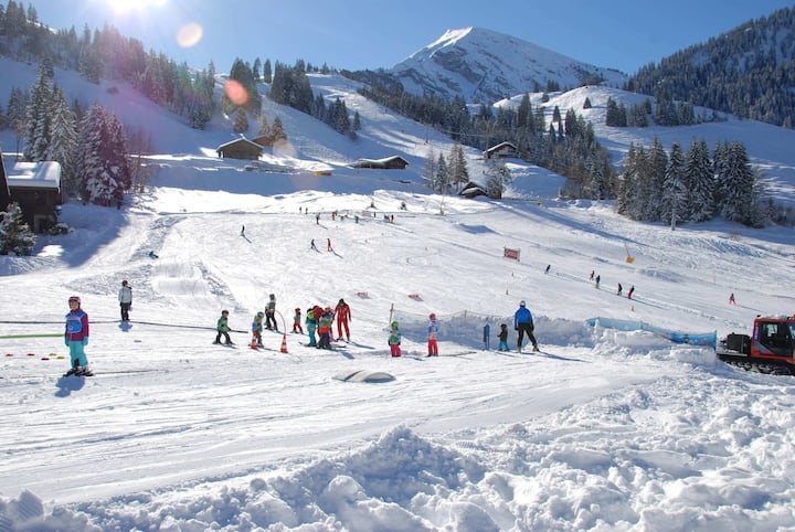 In Naturepark With Balcony | Bbq + View + Gondola - Frutigen