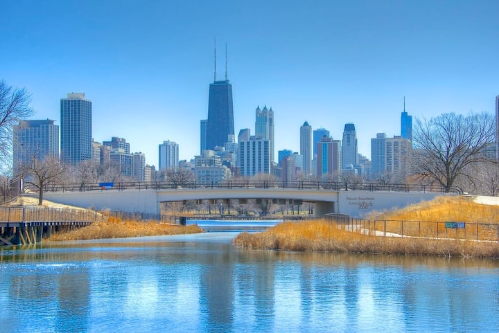 Cozy Queen Stay Near Magnificent Mile! - Chicago