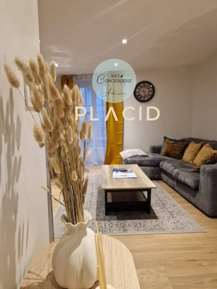 Appartement Cosy Au Cœur De Vannes - Vannes