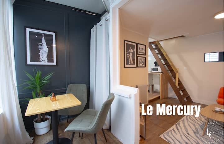 Le Mercury - Hypercentre Orléans - Orléans