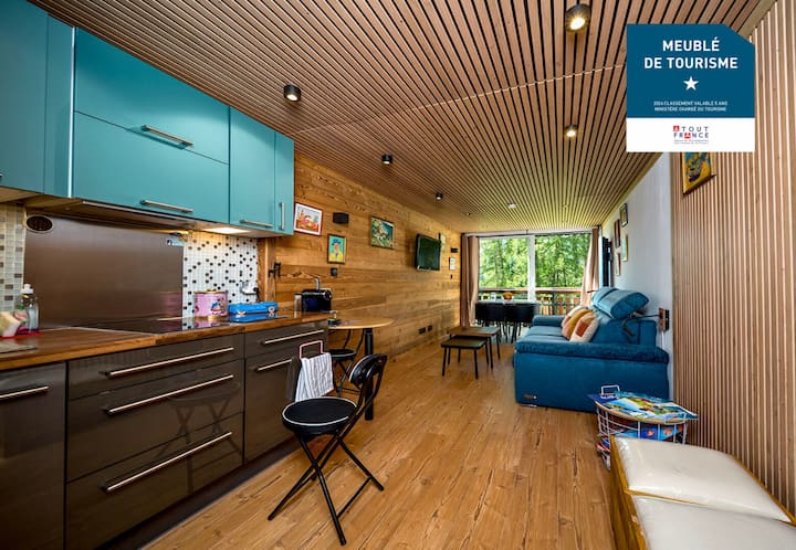 Magnifique Studio Rénové, 4pers, Vue Montagne - La Foux d'Allos