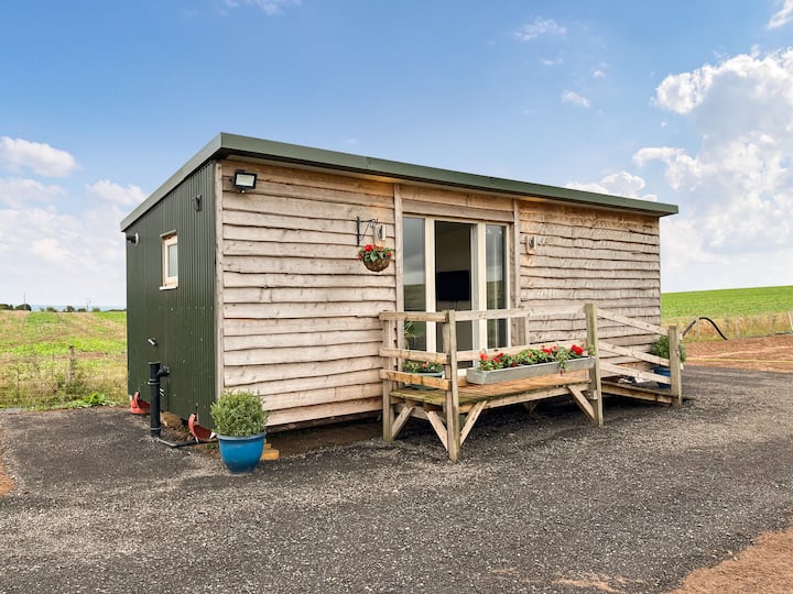 Raygill Shepherds Hut - Ripon