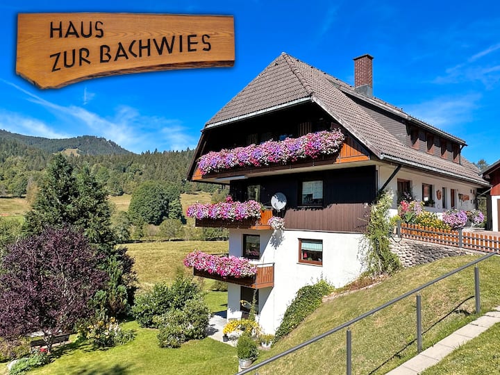 Aufblühen In Menzenschwand - Feldberg
