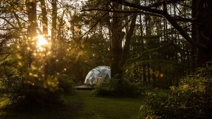 Dome In Bilpin - First Of Its Kind In Australia - Sydney