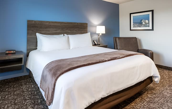 Enjoy Full Kitchen Amenities In Pet-friendly Room - Jacksonville, NC