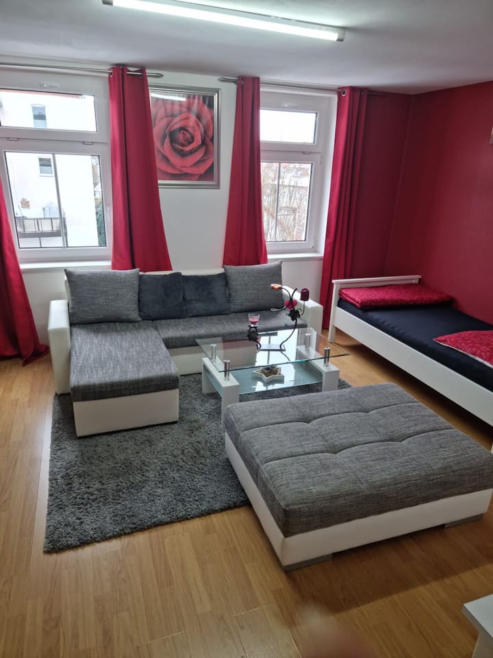 Große 4 Zimmerwohnung Zwickau - Zwickau