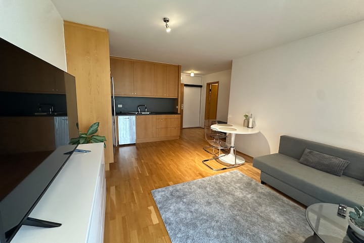 Cosy Apartment In Fossvogur Reykjavik - Reykjavík