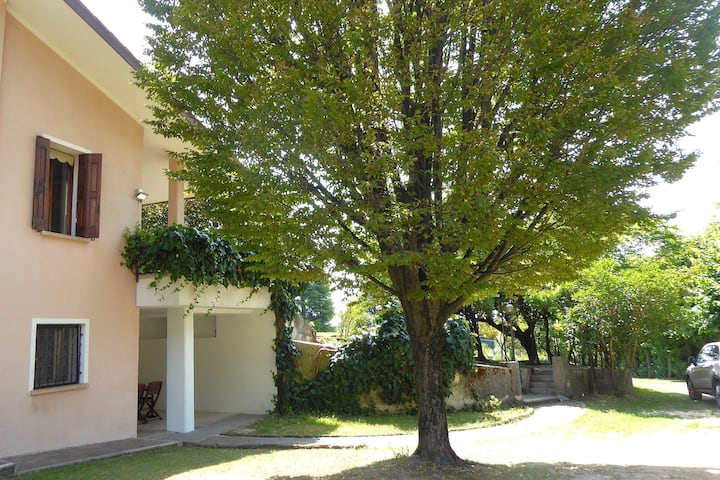 Villa Rosa Apartment - Enego