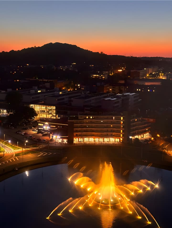 ÜBer Den Dächern Von Aachen - Aachen