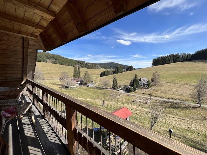 Ferienwohnung Sternschnuppe, 90 Qm - Hinterzarten