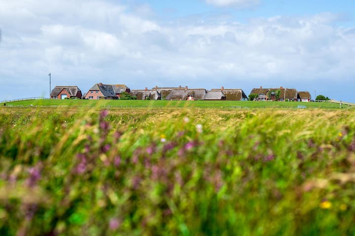 Haus Süderkamp - Langeneß