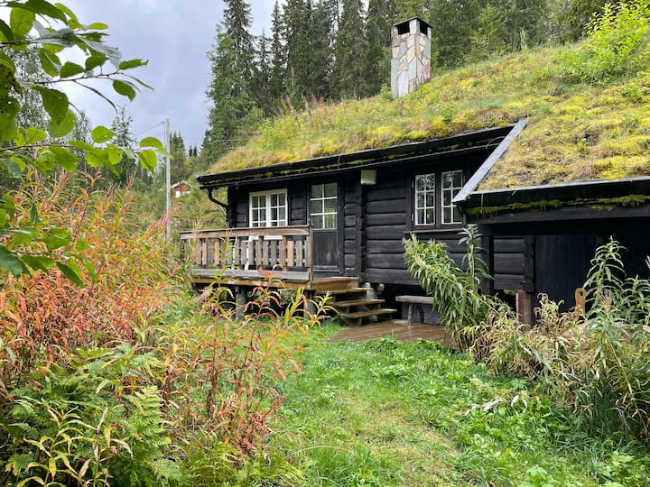 Traditional Log Cabin By Lake Seljord - Seljord