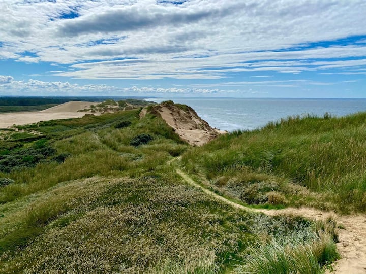 4 Etoiles Maison De Vacances A Hjørring-by Traum - Denmark