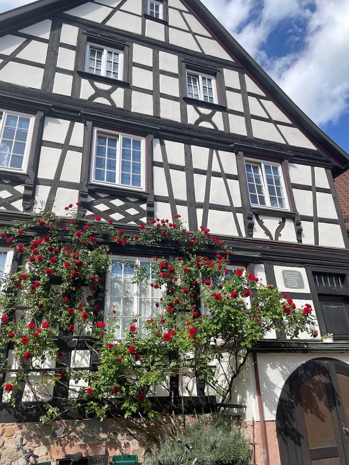 Apartment Im Scheffelhaus - Gengenbach