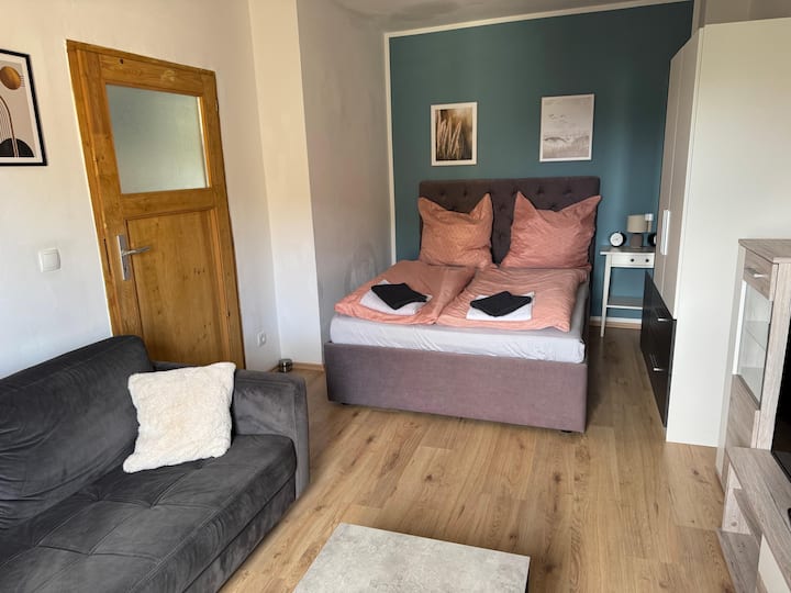 Gemütliches Appartement "Franz" In Halle Inklusive - Halle (Saale)