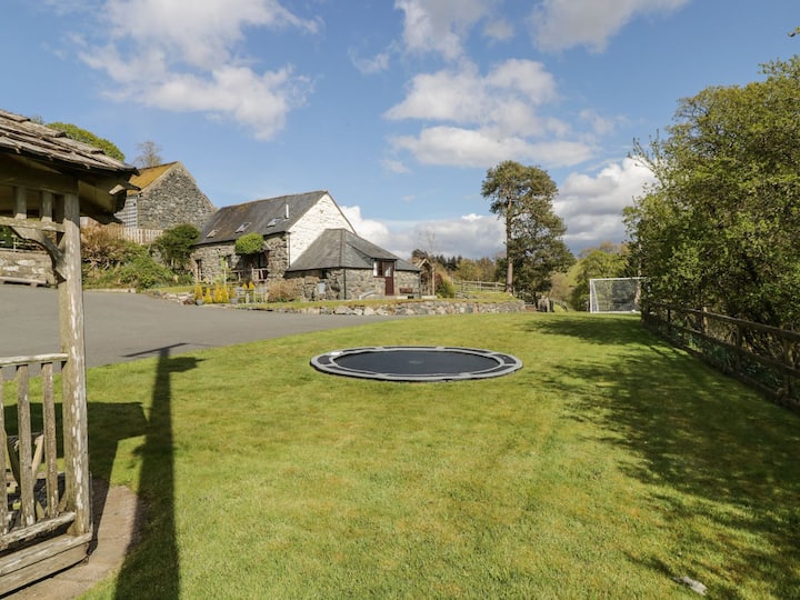 Cyffdy Cottage - Tegid - Bala