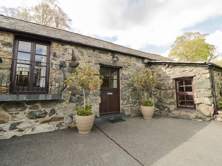 Cyffdy Cottage - Arenig - Bala