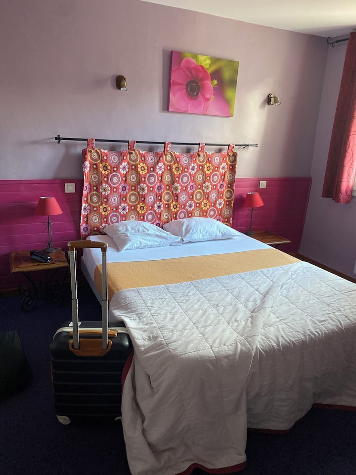 Pet-friendly Room Close To Musée Gassendi - Digne-les-Bains