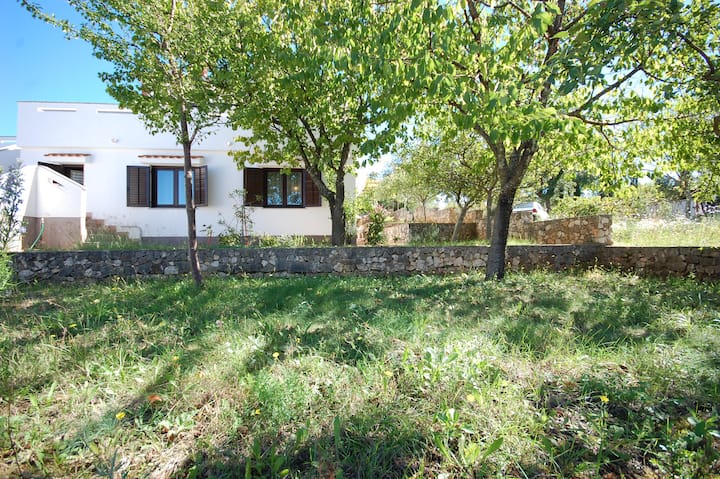 Apartment Dajdzic - 1 - Njivice