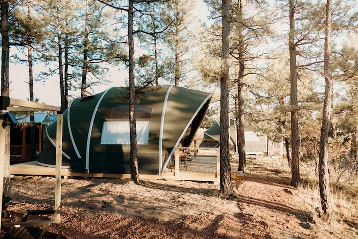 Scenic Mountain Yurt With Queen + Bunks - New Mexico