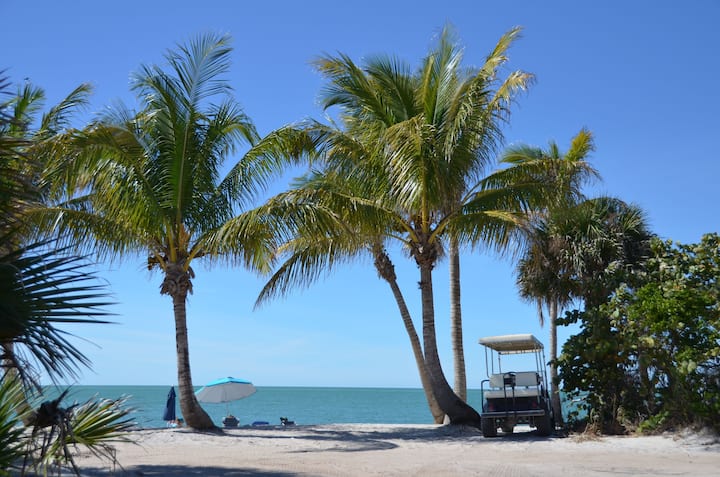 Sunny Pool Relaxation Near Captiva Shores - Captiva, FL