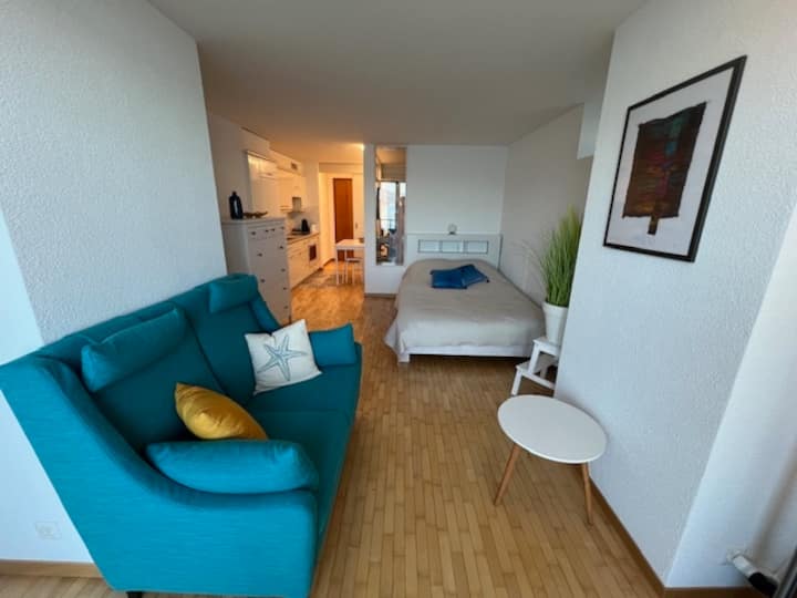 Grand Studio Rénové En 2025 Au Bord Du Lac Léman - Vevey