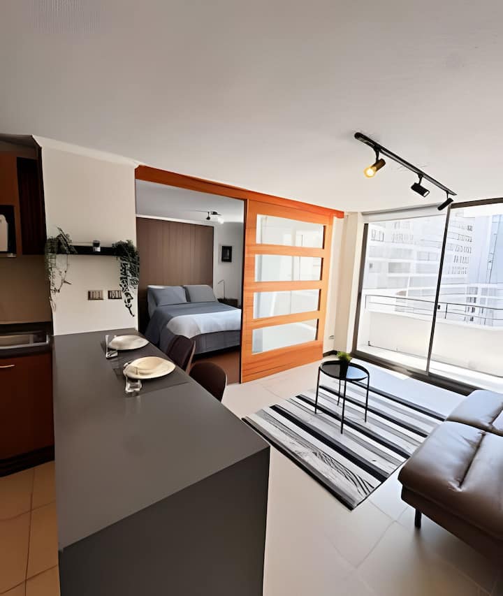 Santiago Central, Espacioso Y Decorado Con Diseño - Santiago (Chile)