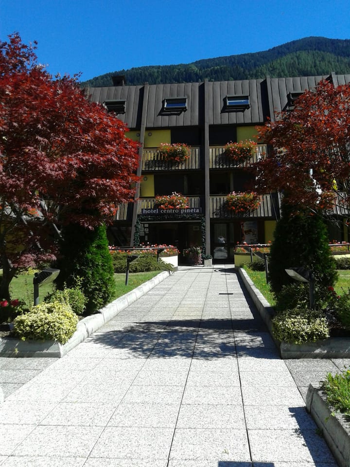 Cozy Room With Balcony With Enviable Views - Madonna di Campiglio