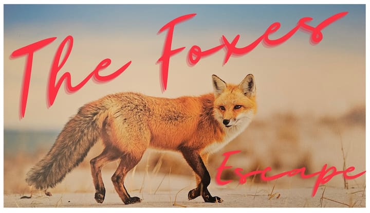 The Foxes Escape - Kalbarri