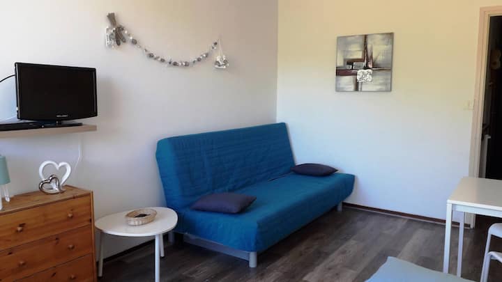 Joli Studio 21m² 4 Personnes Pied Des Pistes Côte - Lans-en-Vercors