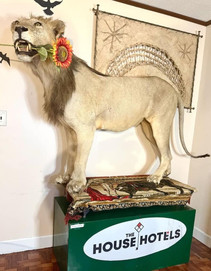 Sleep With A Lion! 6 Bedrm, Central, Near Downtown - Cleveland, OH