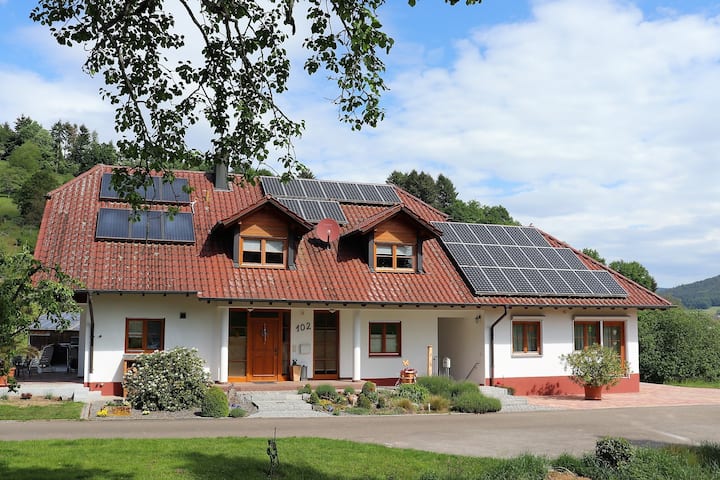 Ferienwohnung Braun - Rebbergblick - Seelbach