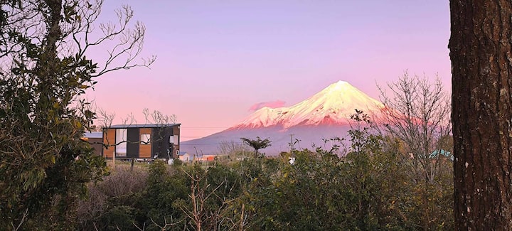Taranaki Creekside Kiwi By Tiny Away - Stratford