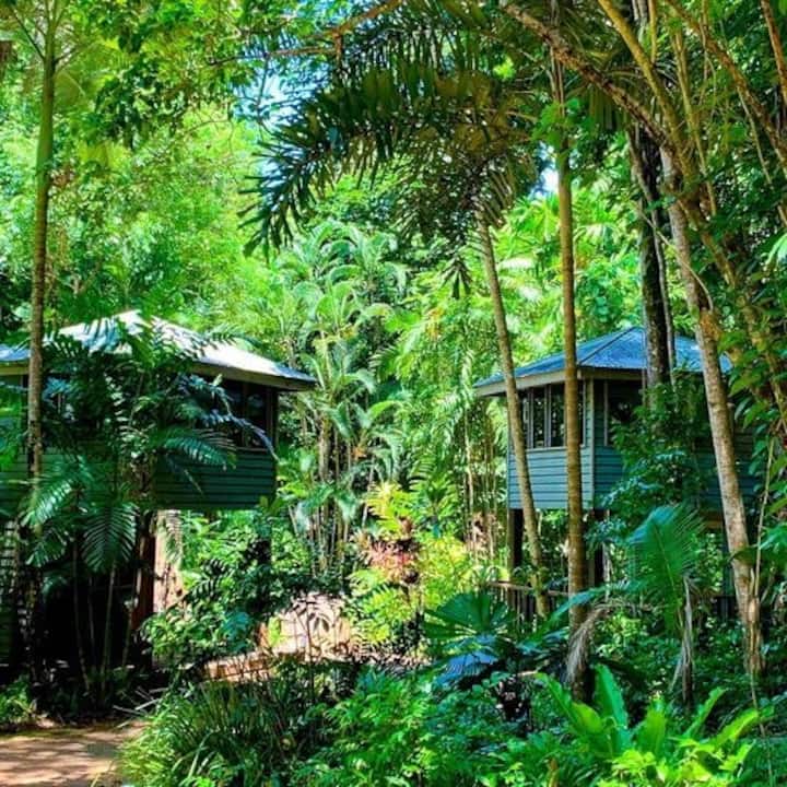 Standard Garden Loft At Ferntree Rainforest Lodge - Cape Tribulation