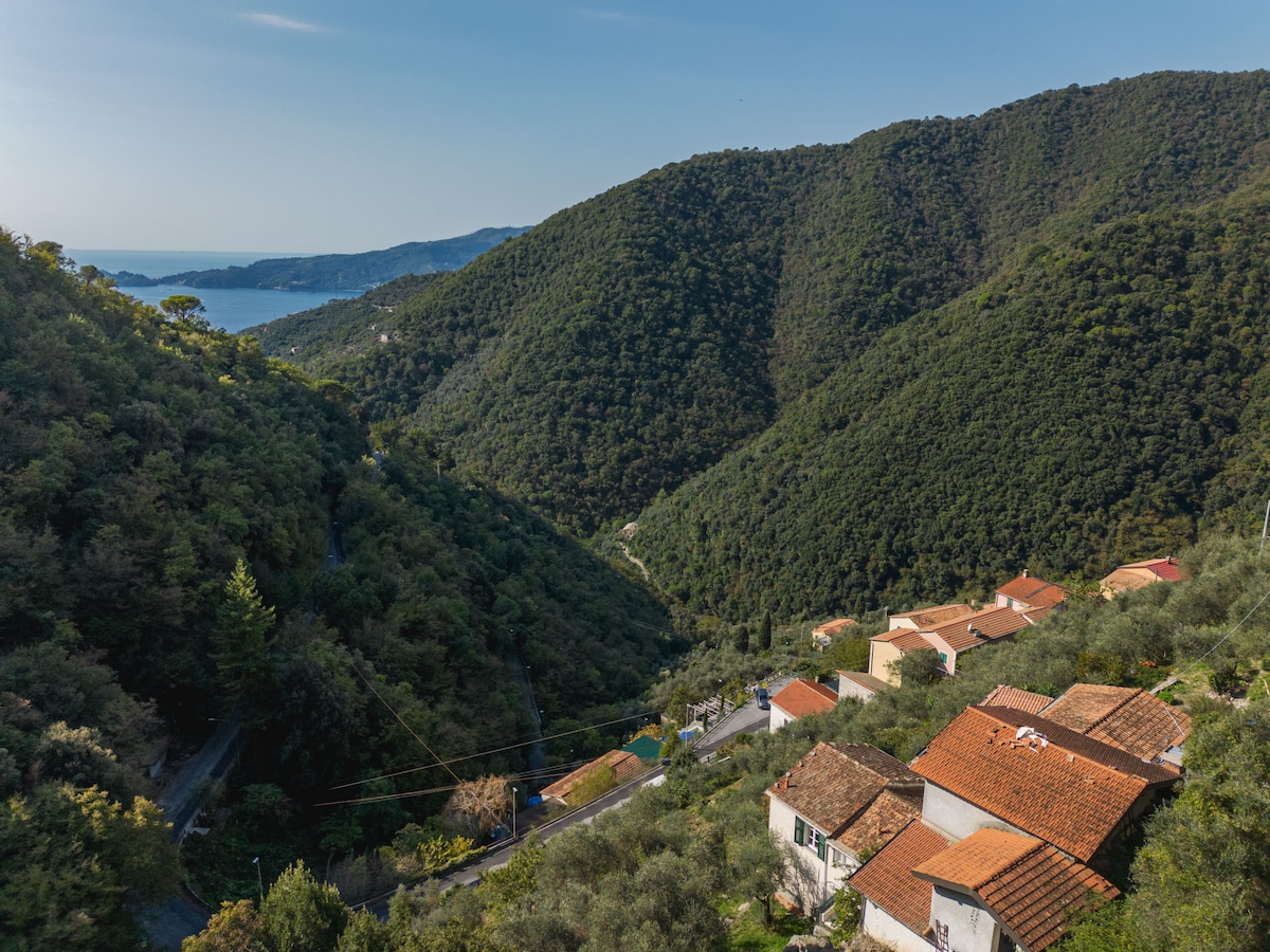 Manuela by Interhome - Houses for Rent in Semorile, Liguria, Italy - Airbnb
