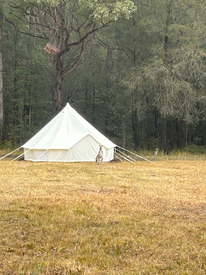 Romantic Queen Bed Glamping Tent - Jervis Bay