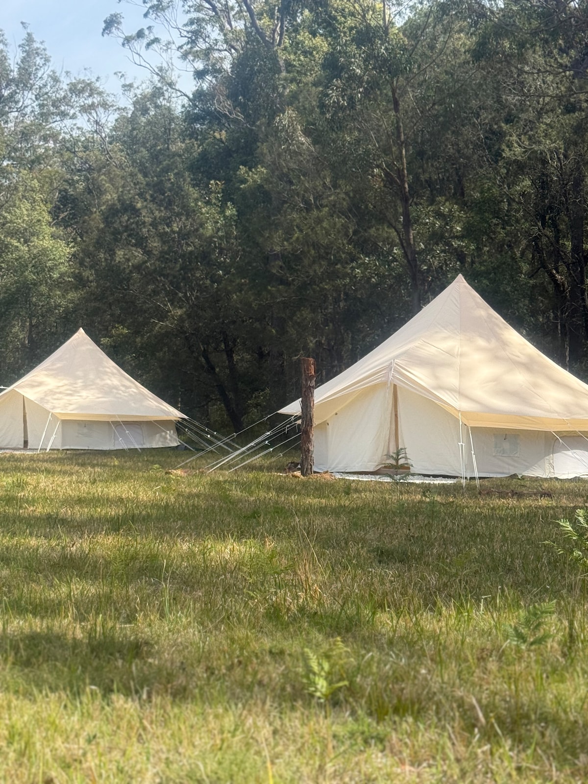 Triple 1xQueen 1xSingle Beds, Glamping tent - Tents for Rent in ...