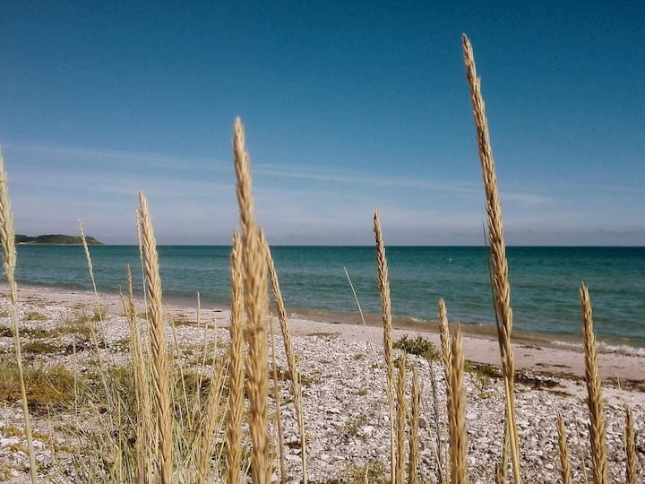 Maison De Vacances Pour 4 A Ebeltoft-by Traum - Ebeltoft