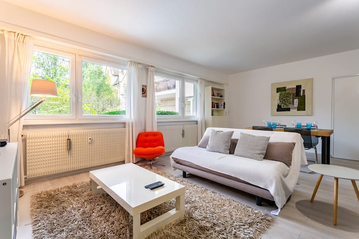 Au Bord Du Rempart - Proche Cathédrale Notre Dame - ストラスブール